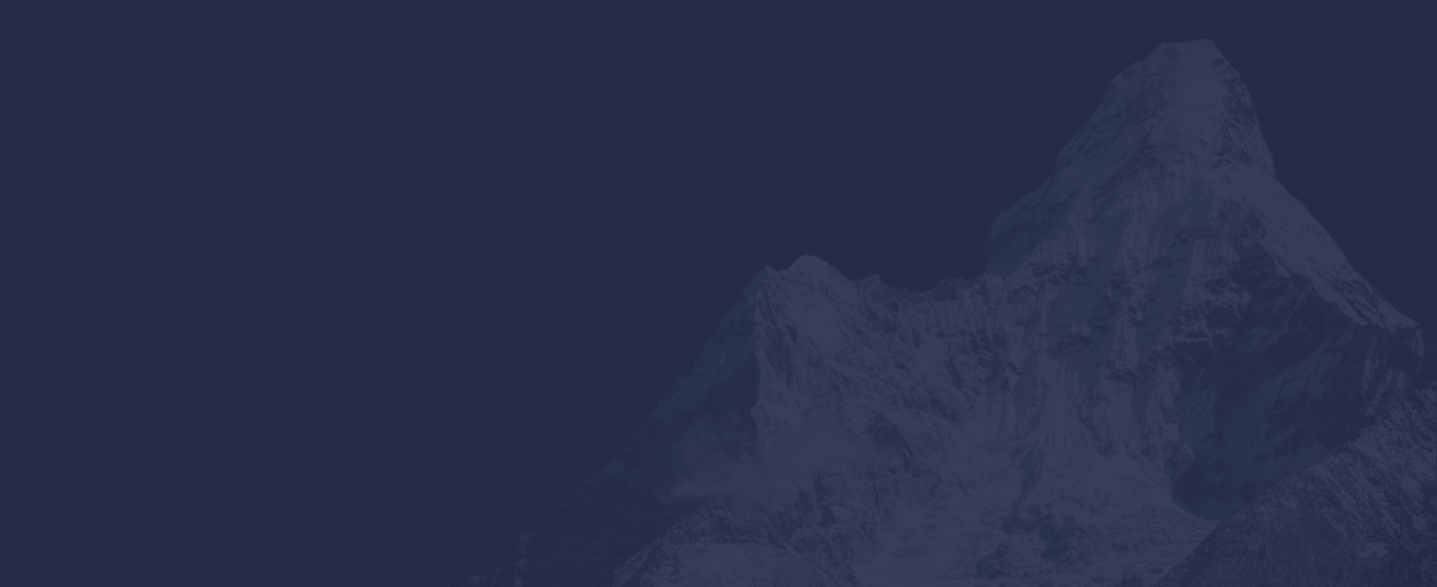 Alpha High Growth Fund – Alpha Investment Management